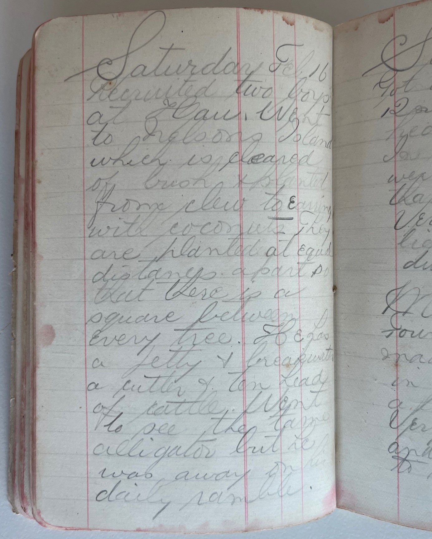 Diary entry (February 16) from Newton Barton Diary, 1894-1895. | State ...