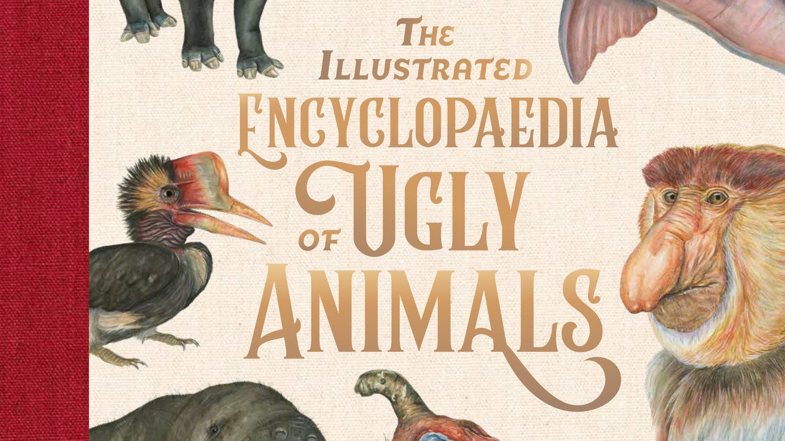 Get into books by reading about 'Ugly Animals' | State Library of ...