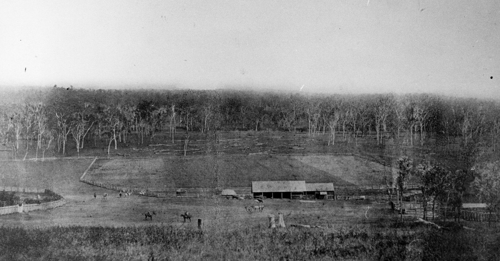 1871: Thomas Kingsford’s Annus Horribilis | State Library Of Queensland