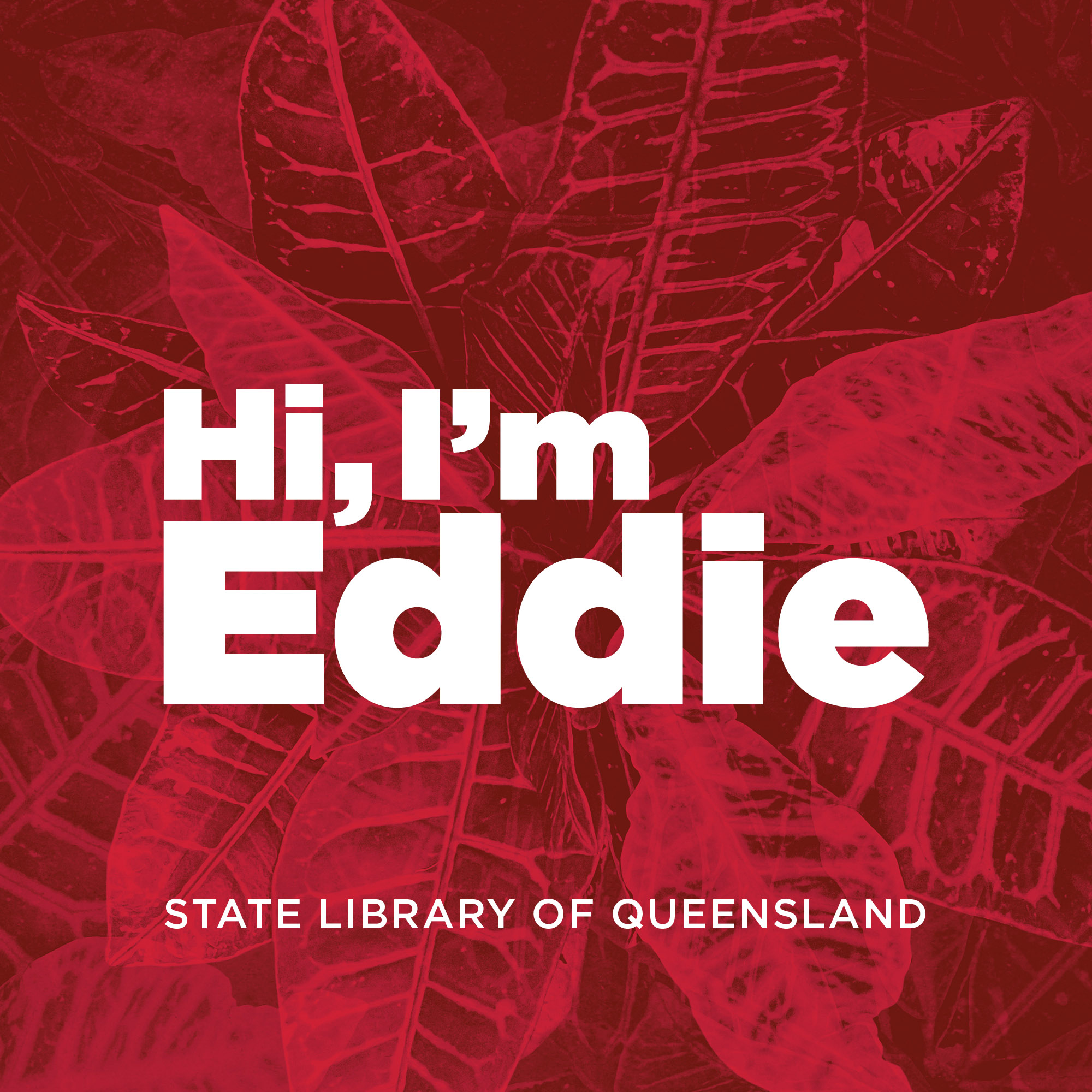 Hi, I'm Eddie | State Library Of Queensland