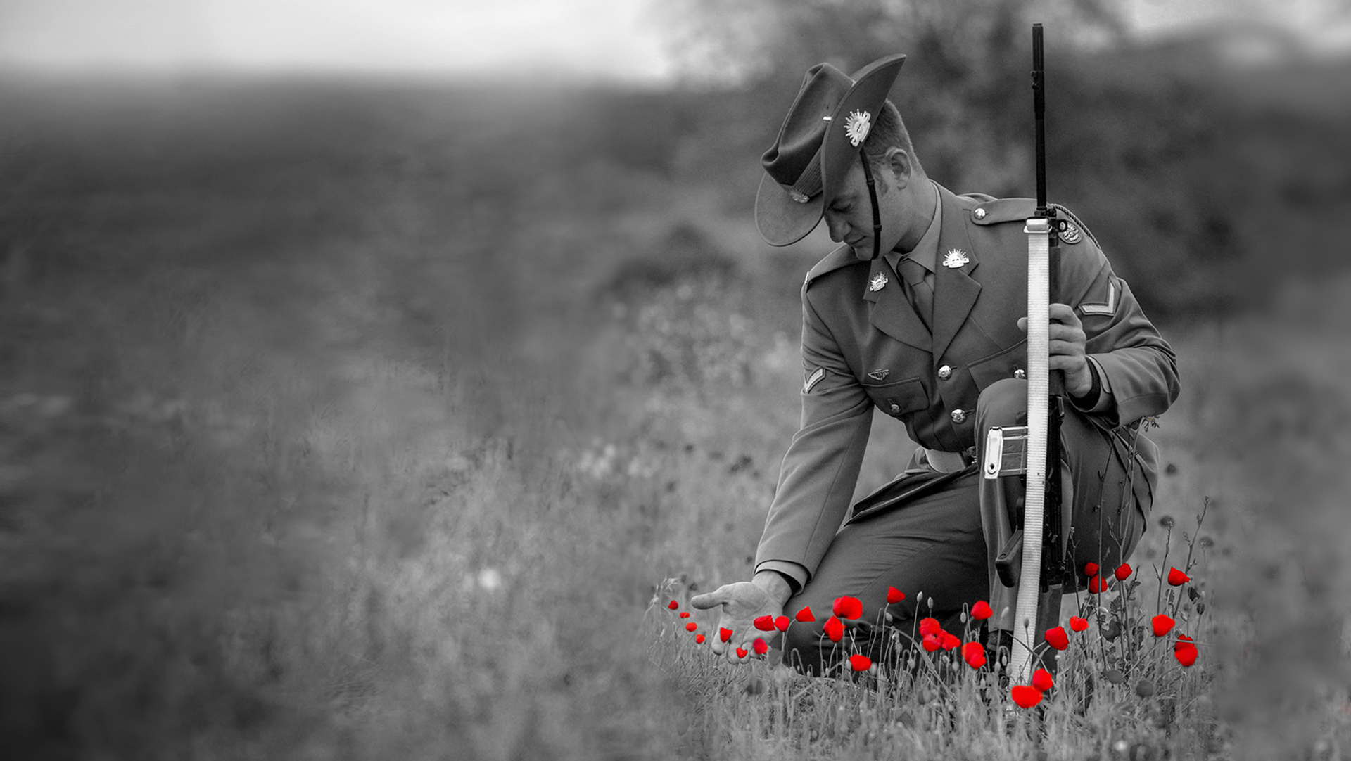 Lance Bombadier Greg Meller picks a poppy following the Anzac Day Dawn ...