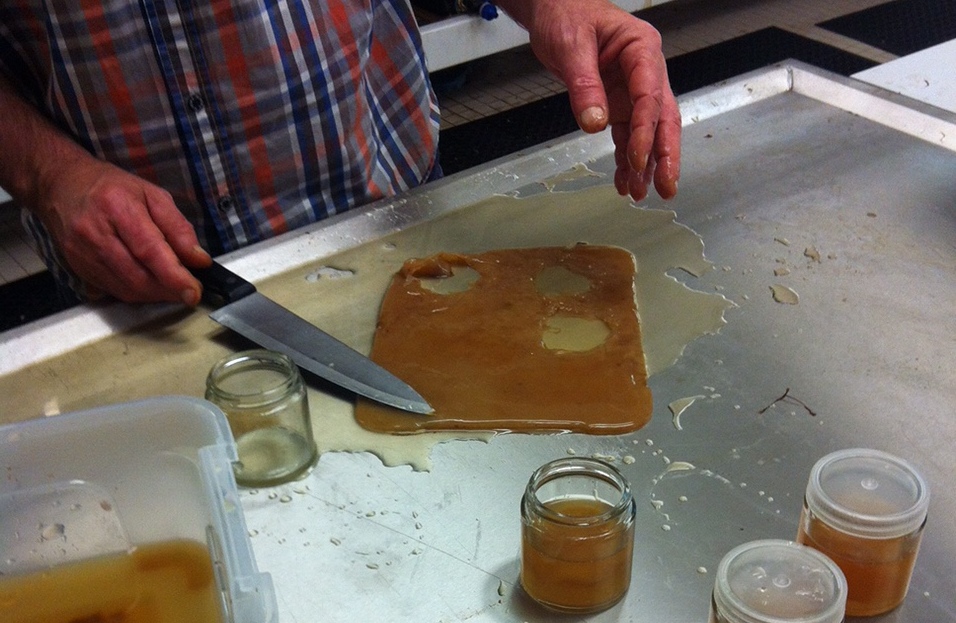 Kombucha making process | State Library of Queensland