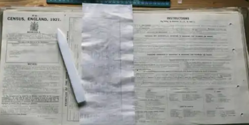 The 1921 Census for England and Wales: a major interwar document ...