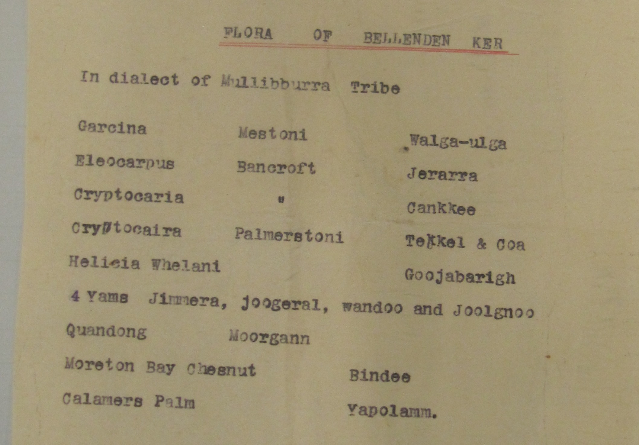 2019 International Year of Indigenous Languages Word of the Week: Week ...