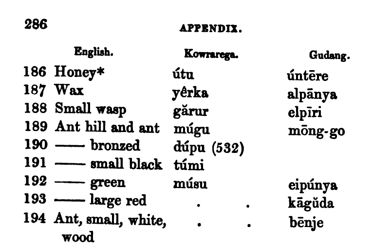 Torres Strait Islander everyday words | State Library Of Queensland