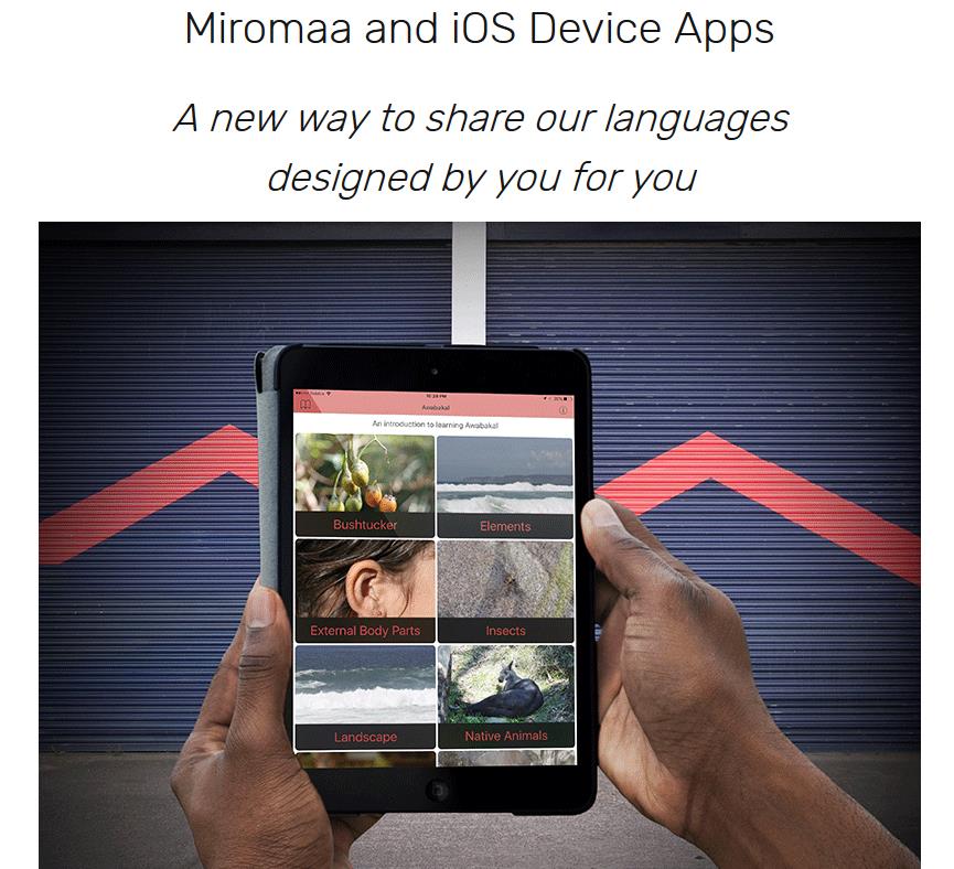 ilq-files-2017-09-miromaa-app.jpg | State Library of Queensland
