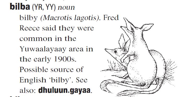 A bilby for Easter | State Library Of Queensland