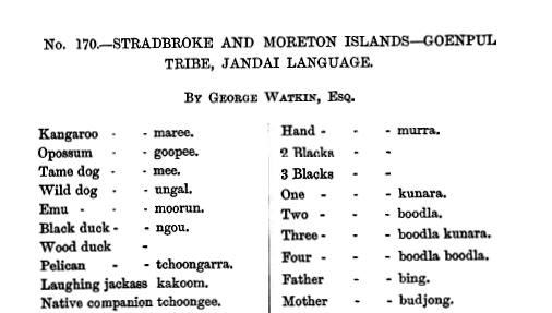 Language of the Week: Week Twenty-One - Goenpul | State Library Of ...