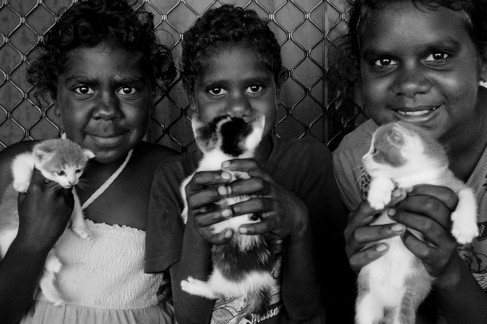 2019 International Year of Indigenous Languages: Word of the Week ...