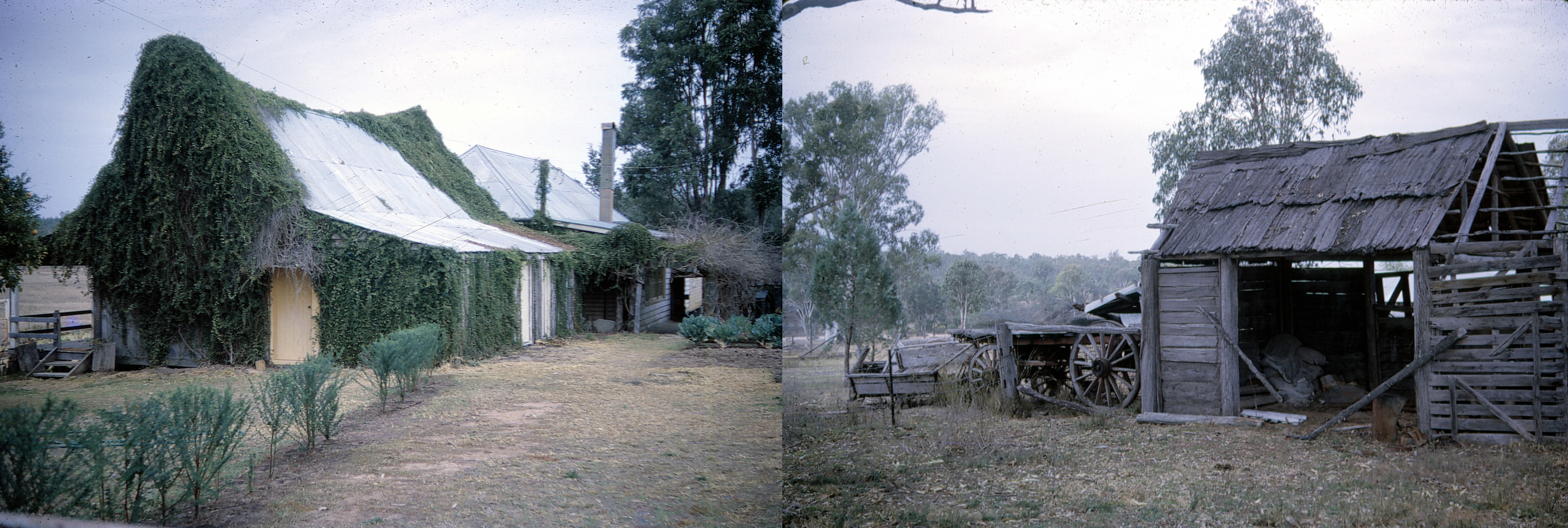 1871: Thomas Kingsford’s Annus Horribilis | State Library Of Queensland