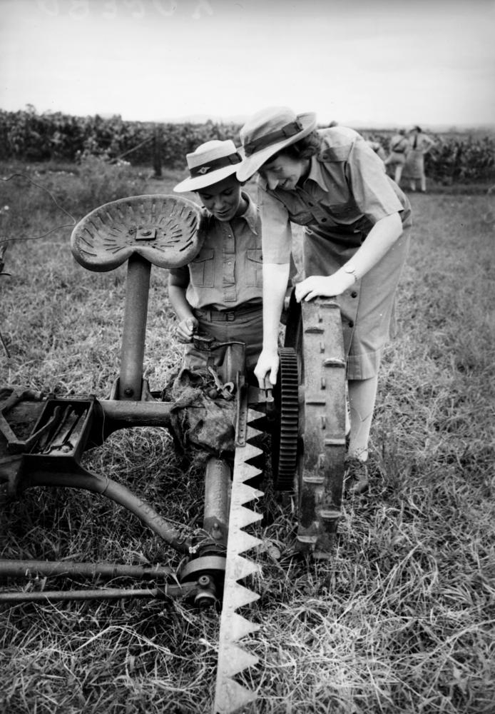 The Australian Women's Land Army Records 1942-1975 | State Library Of ...