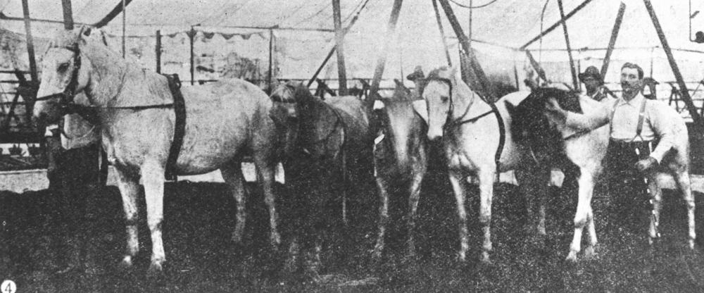 On the road : the wandering Wirth family | State Library Of Queensland