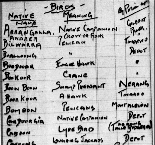 Meston Notebooks | State Library Of Queensland