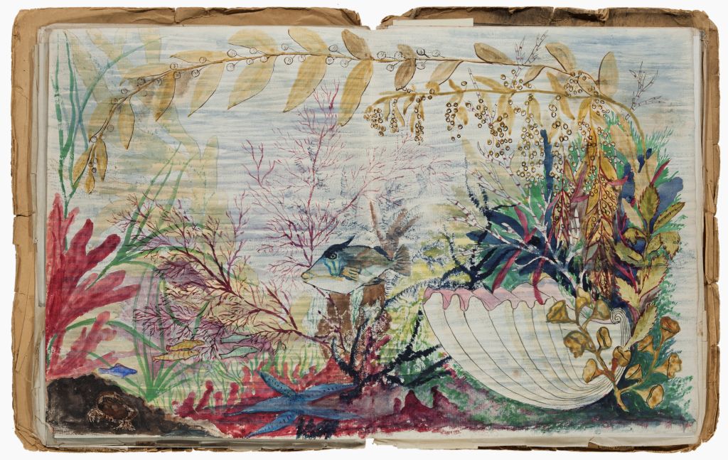 Rare Torres Strait 1881 diary travels to Ballarat | State Library Of ...