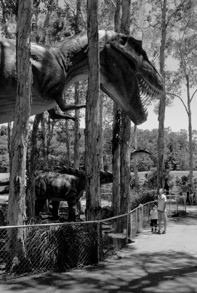 Snapping Dinosaurs | State Library Of Queensland