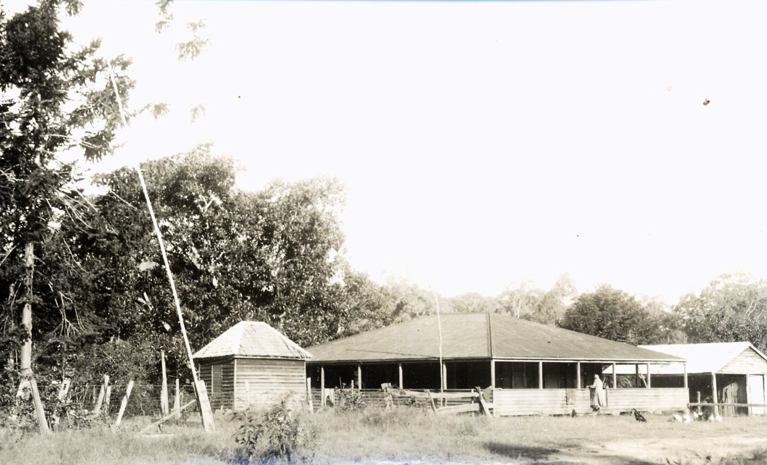 Bankfoot House | State Library Of Queensland