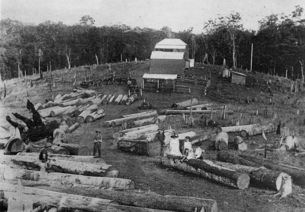 Malanda Show : 100 years of dairying on the Atherton Tablelands | State ...