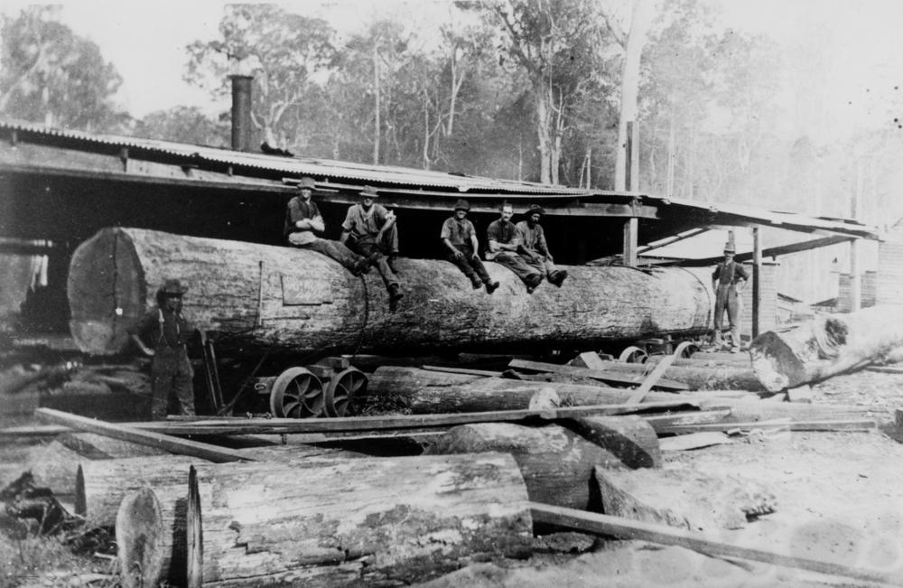 Malanda Show : 100 years of dairying on the Atherton Tablelands | State ...