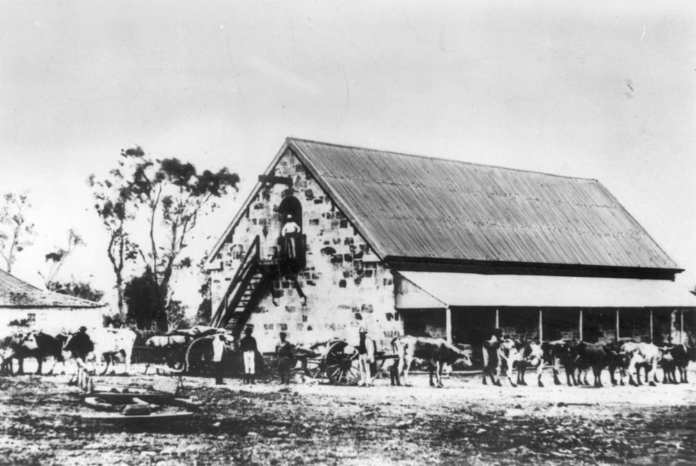 Jimbour Station : History in Pictures | State Library Of Queensland
