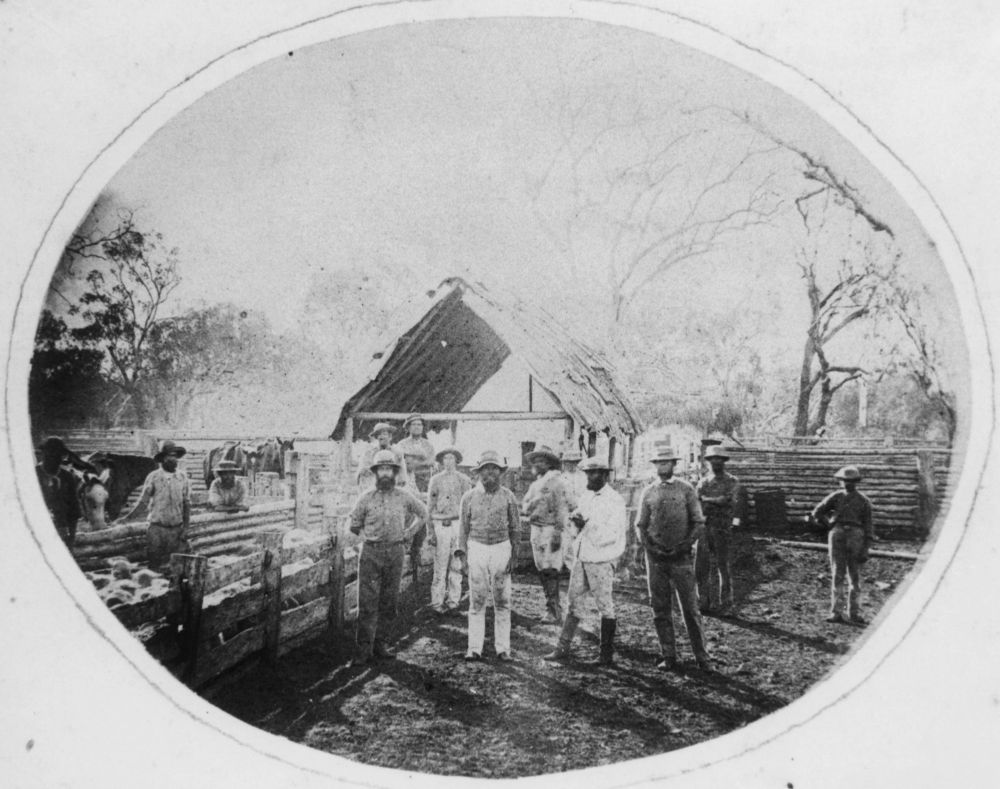 Charles Samuels (1863-1912) | State Library Of Queensland