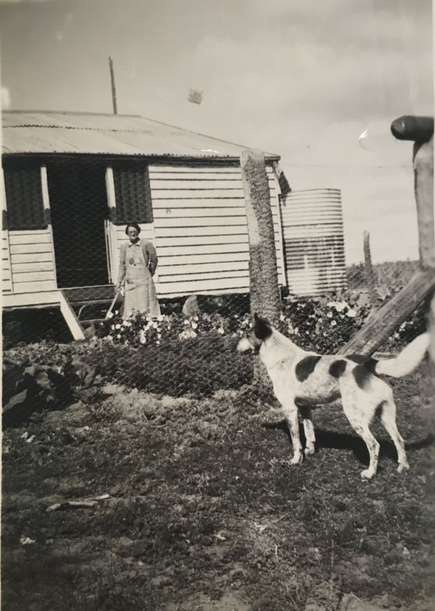 The 1941-42 journals of Mrs Ellen Humphreys, grazier of "Hutton Park ...