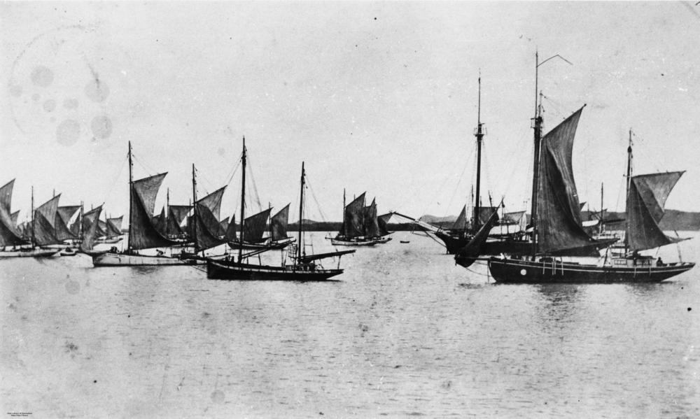 Pearling Luggers of the Torres Strait | State Library Of Queensland