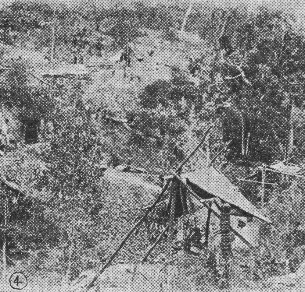 Gold Fever – “The Canoona Delusion” near Rockhampton. | State Library ...