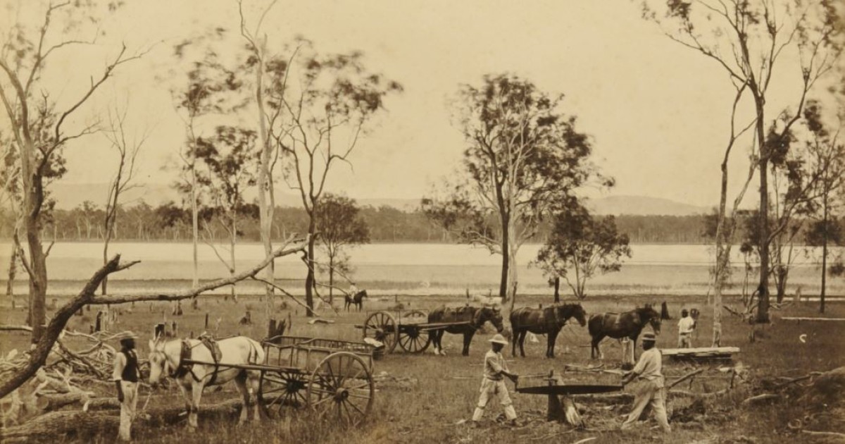 The Life and Times of Heinrich (Henry) Muller, Photographic Artist ...