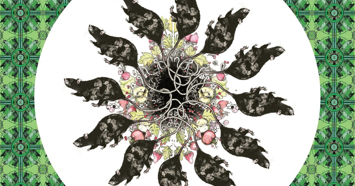 Inspiration behind James the Rat King and using State Library of ...