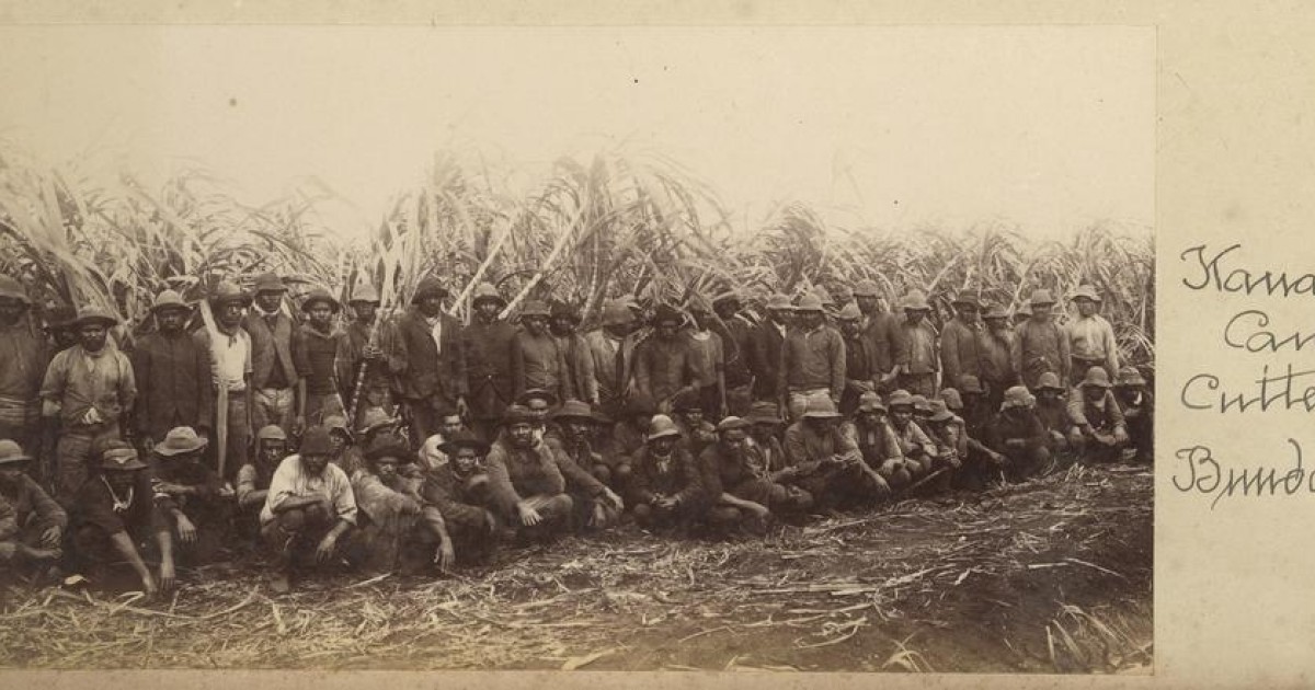 Australian South Sea Islander exhibition coming to the State Library of ...