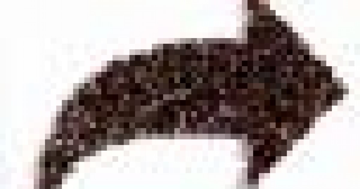 Superbosses : how exceptional leaders master the flow of talent (book ...