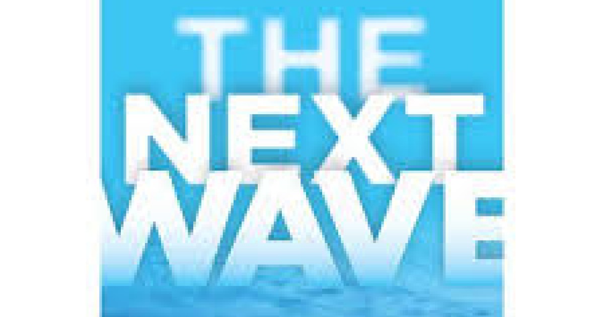 The Next Wave : Financing Women's Growth-Oriented Firms (ebook) | State ...