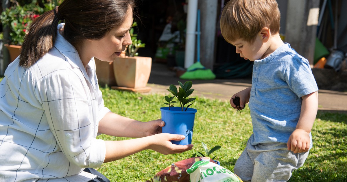 Nurture your child’s creativity in nature | First 5 Forever | State ...