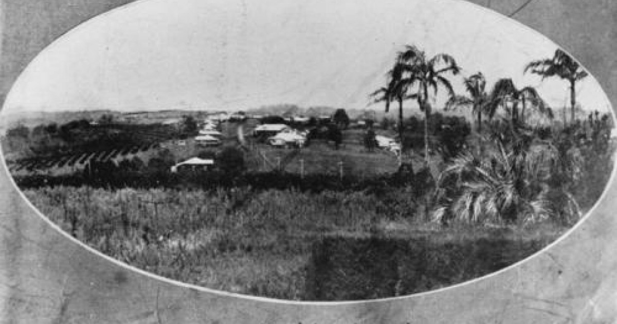 Queensland Places: Mapleton | State Library Of Queensland