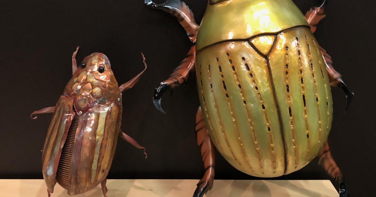 The best kind of beetles are taking over State Library | State Library ...
