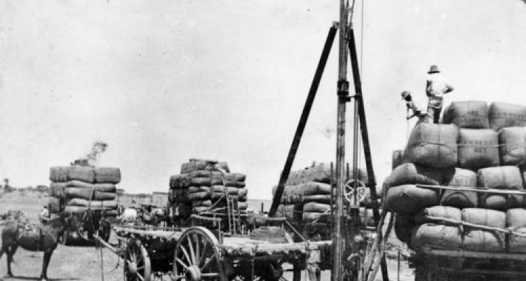 Fruit, meat, wool and horses for Allied troops | Stories | Anzac Square