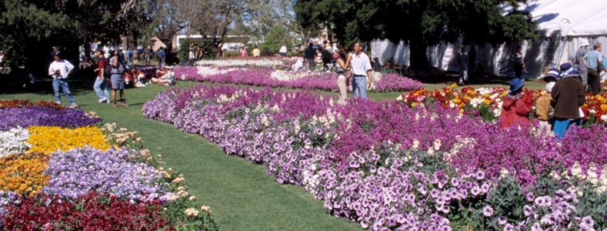 Toowoomba Flower Festival 2018 Parade | Best Flower Site