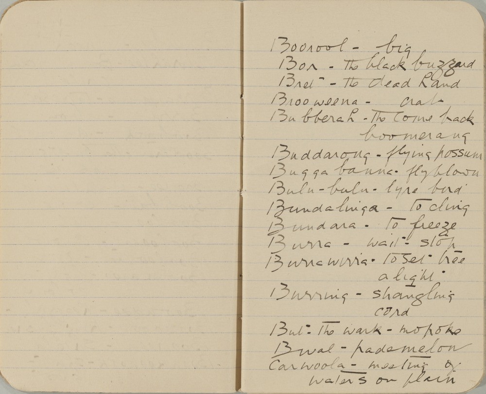 Archibald Meston Papers 1867-1960: treasure collection of the John ...