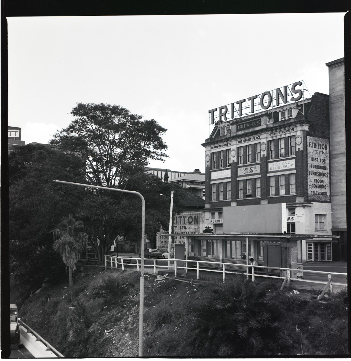 Trittons: Flourishing through the fifties | State Library Of Queensland