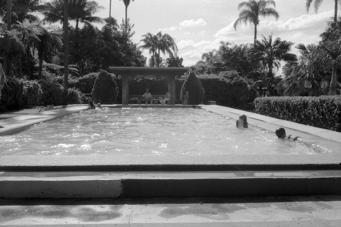 A Suburban Oasis: Sunnybank's Oasis Swimming Pool & Gardens | State ...