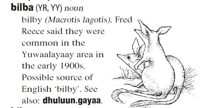 A bilby for Easter | State Library Of Queensland