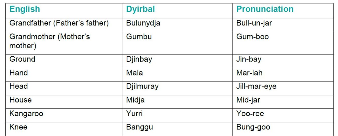 Dyirbal language grammar - Australian Native Tribe