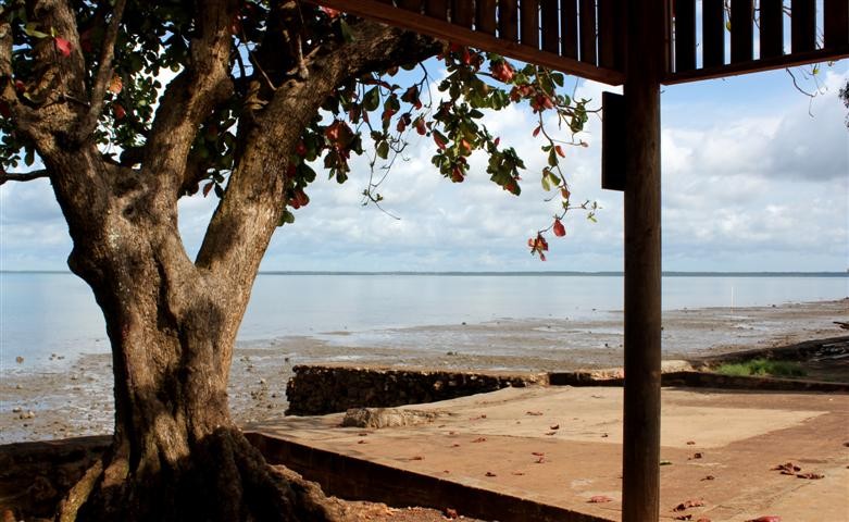 Life on the border - Saibai Island | State Library Of Queensland