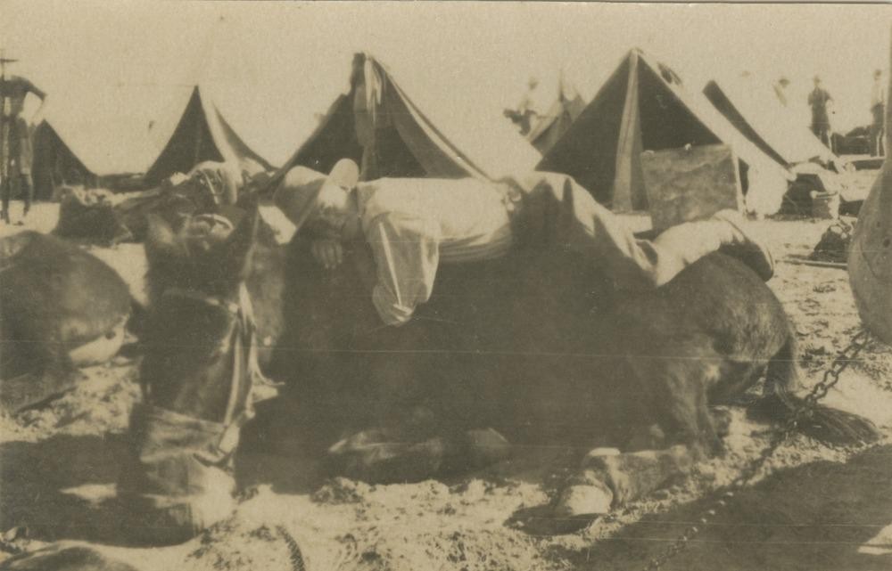 World War I soldiers in daily life | State Library Of Queensland