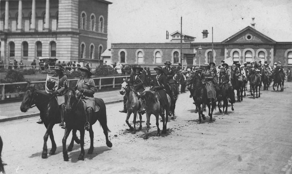 Horses at the end of WWI | State Library Of Queensland
