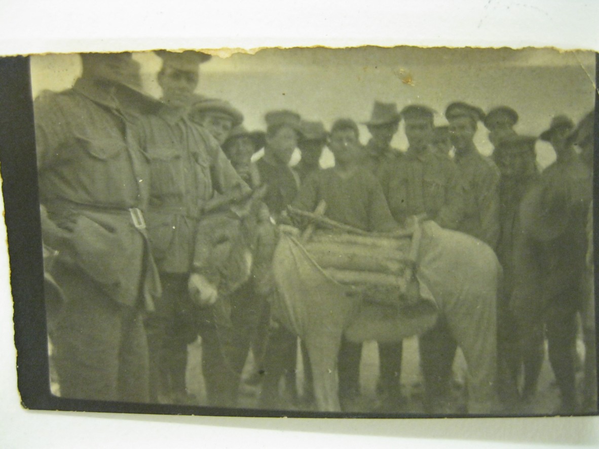 Joseph Cecil Thompson Collection | State Library Of Queensland