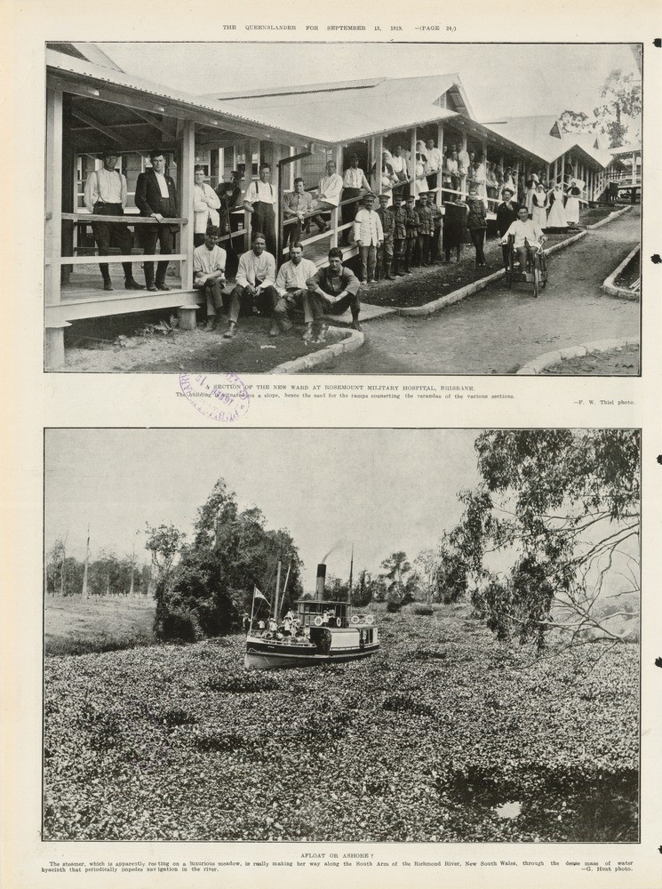 Sister Annie Cuskelly | State Library Of Queensland
