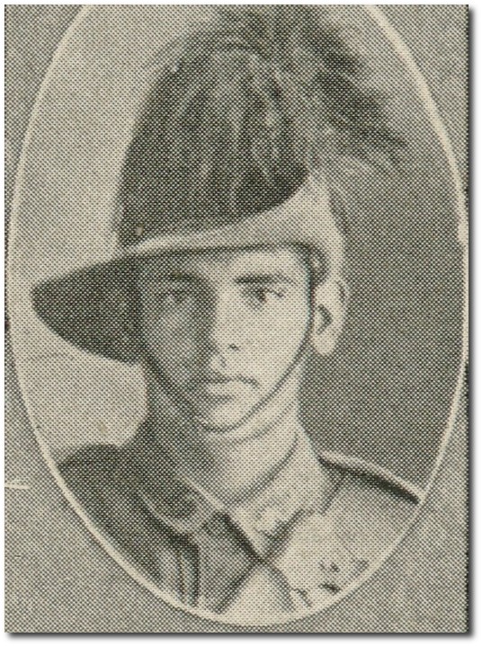 Percy ANDERSON #6704 | State Library Of Queensland