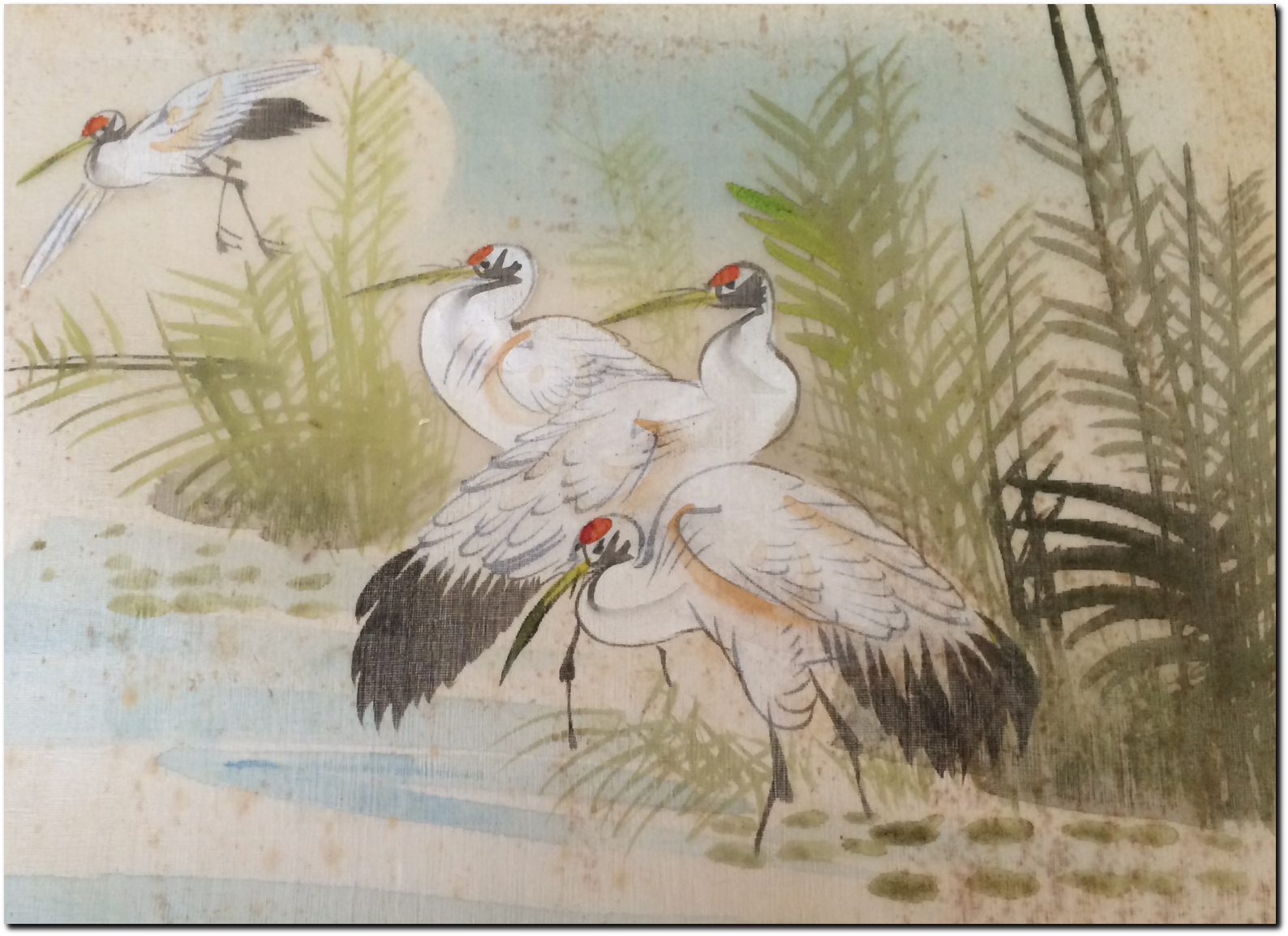 Winifred Corkling Postcard Album | State Library Of Queensland