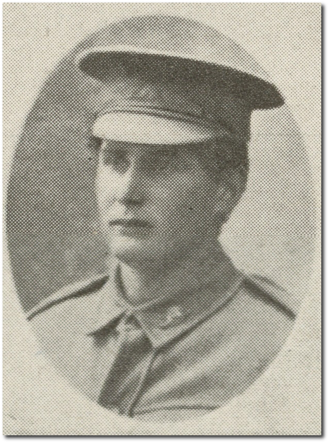 Thomas Henry FORD #4655 | State Library Of Queensland